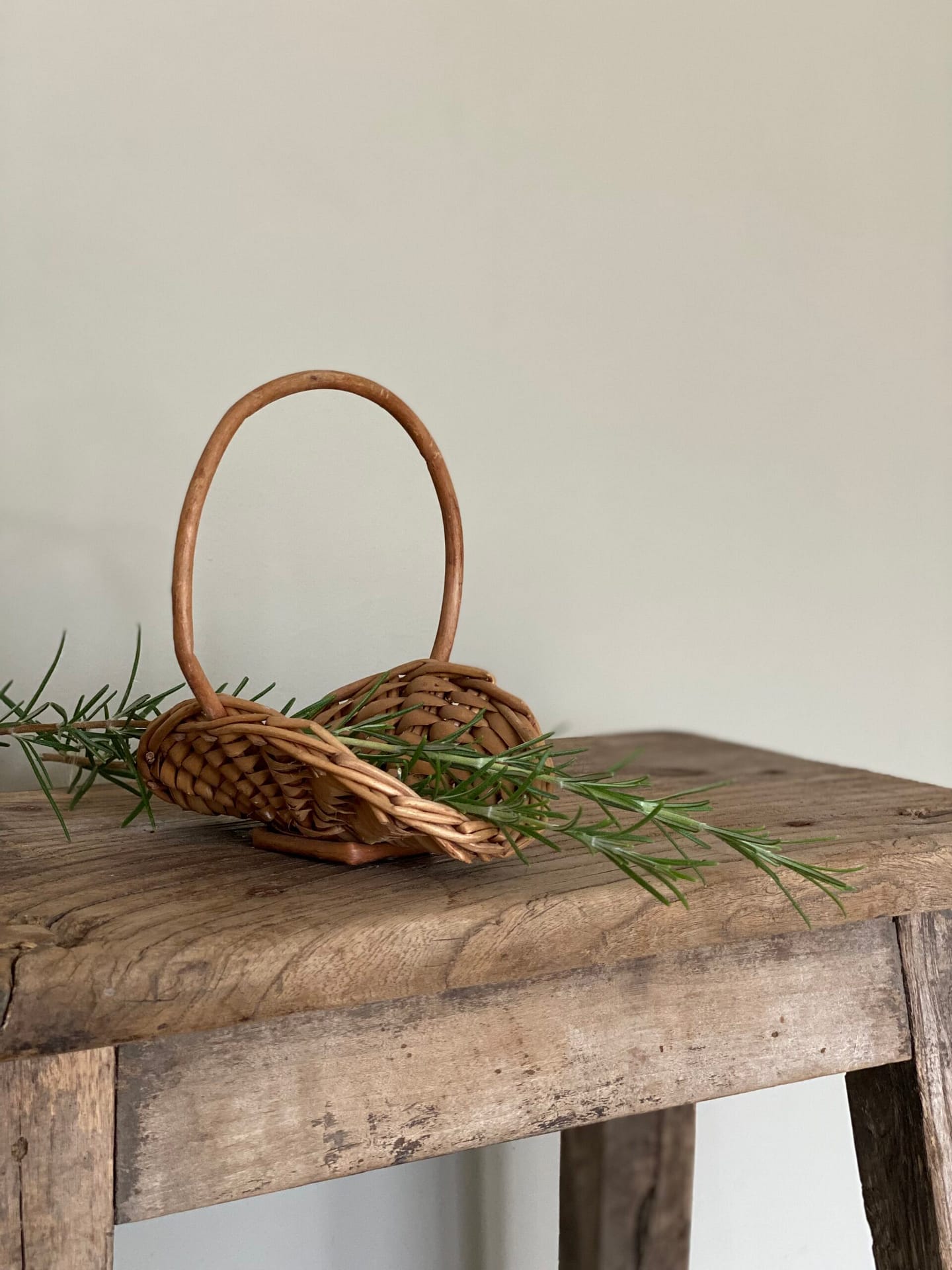 Miniature Herb Collection Basket • [ worn + worn ]